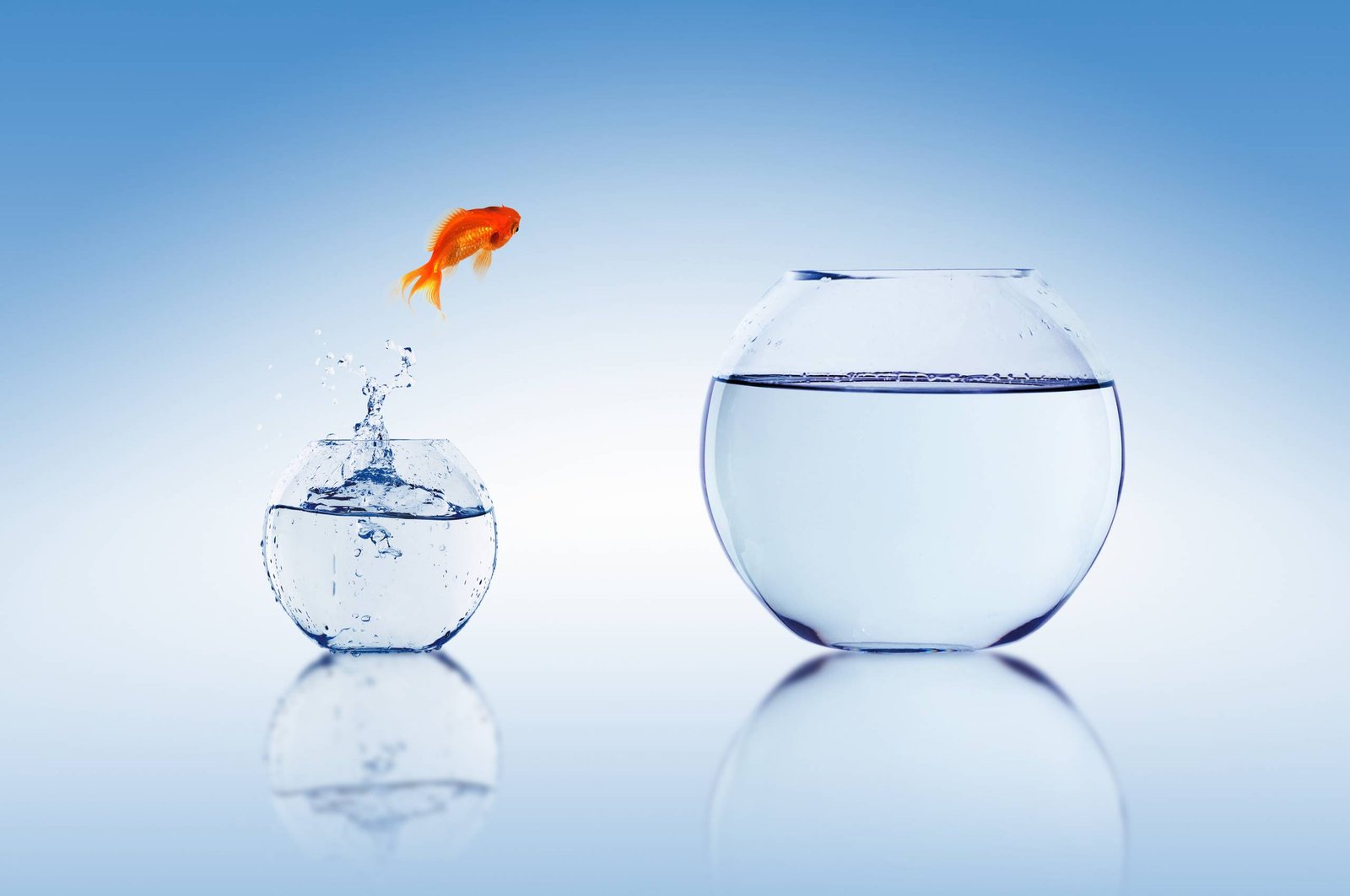 Certified Mindset Coach - ClarityMind